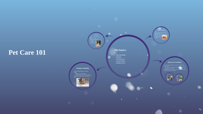 Pet Care 101 by Niki Turner on Prezi Pet Care 101 by Niki Turner on Prezi