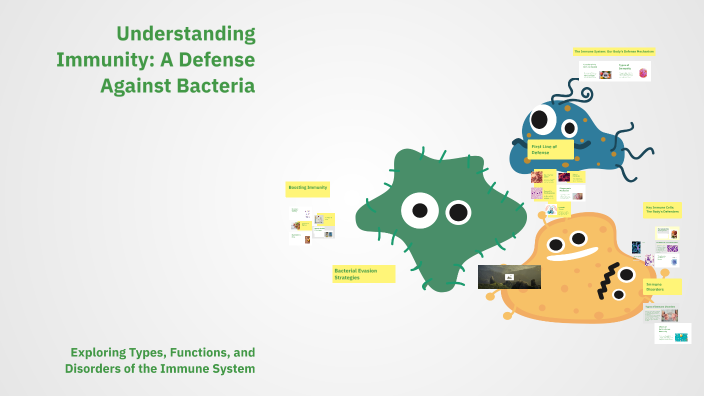 Understanding Immunity: A Defense Against Bacteria by Mayar Mostafa ...