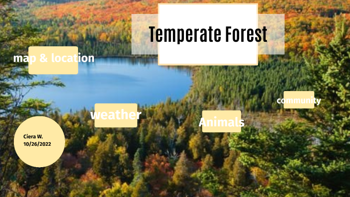 temperate forest: biome by Ciera Whited on Prezi