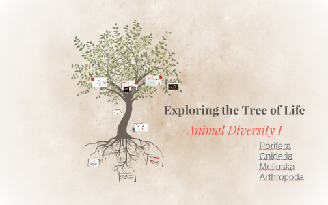 Exploring the Tree of Life by on Prezi