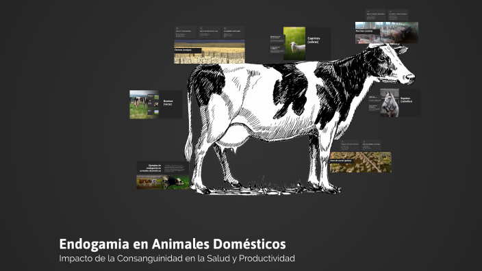 Endogamia en Animales Domésticos by Ruben Ruiz on Prezi