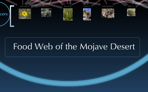 Food Web of the Mojave Desert by Tanner Tufto on Prezi