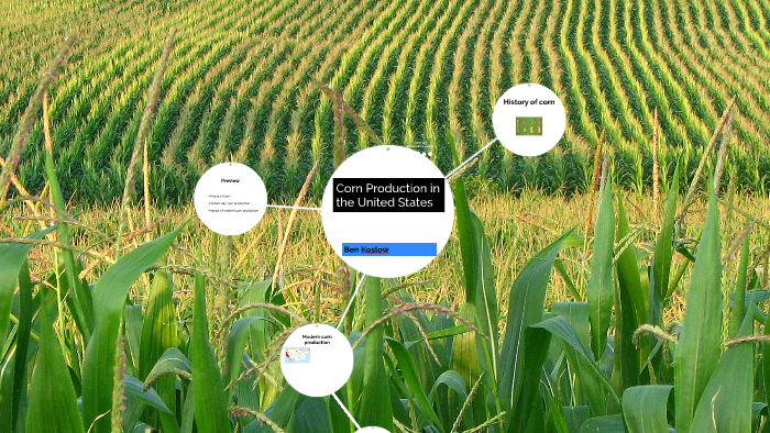 Corn Production in the United States by Ben Koslow on Prezi