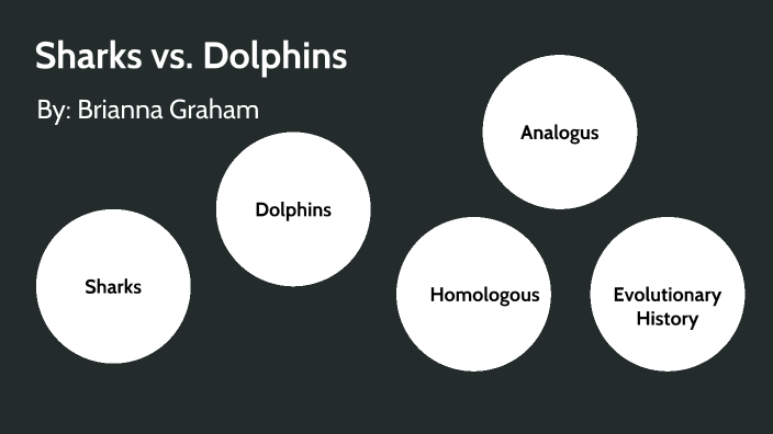 Sharks vs. Dolphins by Brianna Graham on Prezi