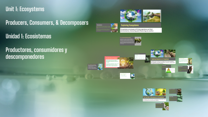 Unit 1: Ecosystems - Producers, Consumers, & Decomposers by ethan evans ...