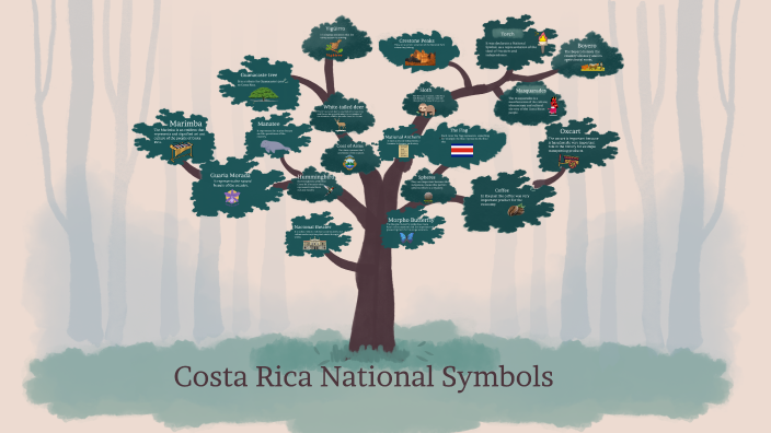 Costa Rica National Symbols by Jose Ignacio Hernández Ocampo on Prezi
