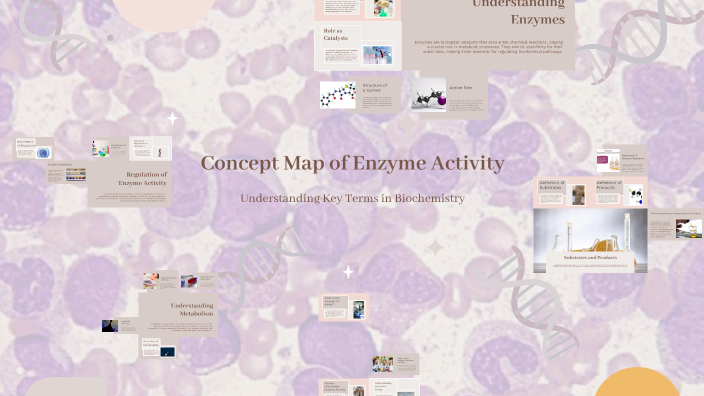 Understanding Enzyme Functionality by Mia Ponce on Prezi