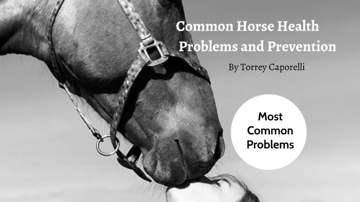 Common Horse Health Problems and Prevention by Torrey Caporelli on Prezi