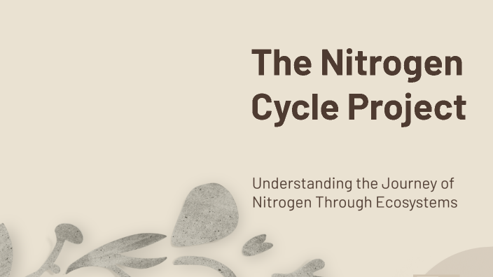 The Nitrogen Cycle Project by David Corado on Prezi