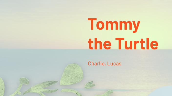 Tommy the Turtle by Charlie Thompson on Prezi