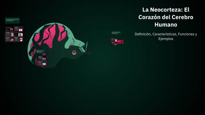 La Neocorteza: El Corazón del Cerebro Humano by Yaneydi Ramos on Prezi