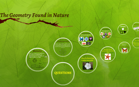The Geometry Found in Nature by on Prezi