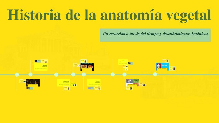 Historia de la anatomía vegetal by jency aguilera on Prezi