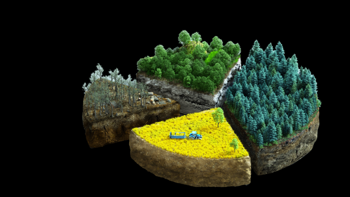 Detection and Geo-tagging of Trees from Drone Images using YOLO v11 by ...