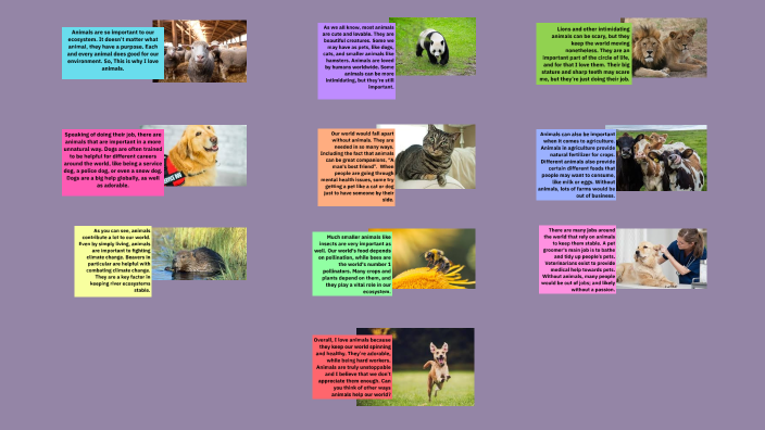 Why I love animals Pecha Kucha by Shealyn Briggs on Prezi