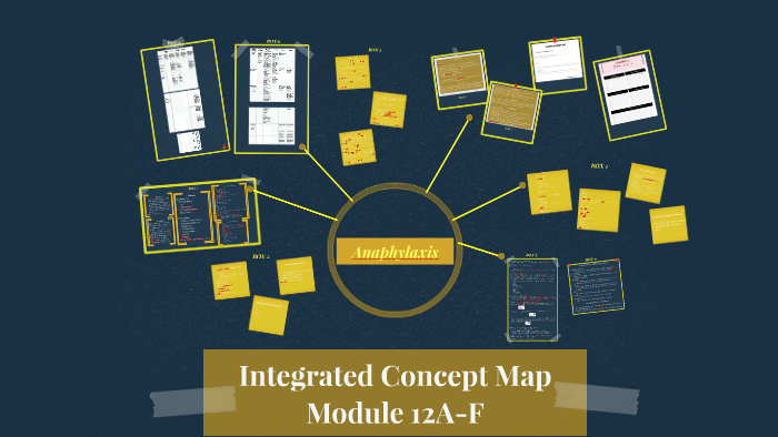 Integrated Concept Map Module 12A-F by Gail Laurino on Prezi
