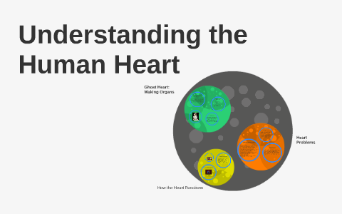Understanding the Human Heart by on Prezi