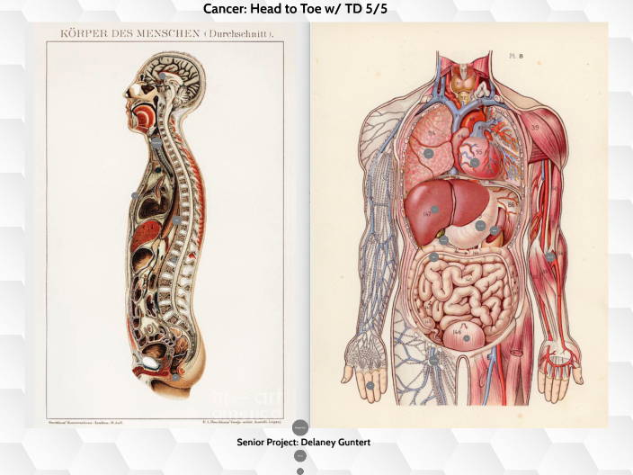 Cancer: Head to Toe w/ TD 5/5 by Delaney Guntert on Prezi