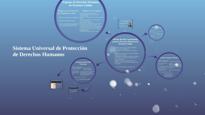 Sistema Universal de Protección de Derechos Humanos by Daniela Reveron on Prezi