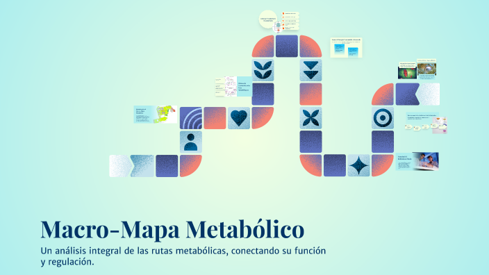 Macro-Mapa Metabólico by Majda Abboud on Prezi