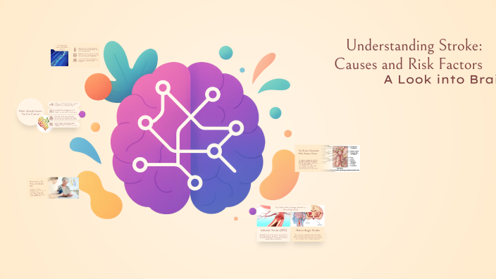 Understanding Stroke: Causes and Risk Factors by coco chanelll on Prezi