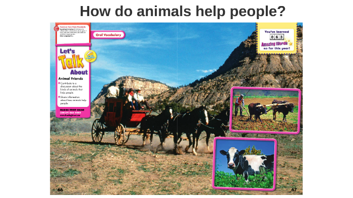 How do animals help people? by Lauren Herrera on Prezi