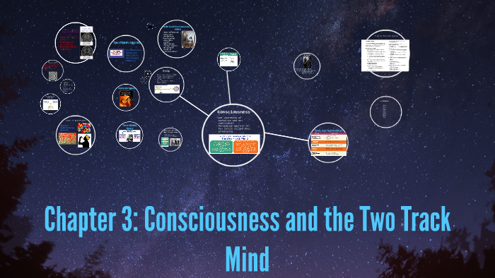 Chapter 3: Consciousness and the Two Track Mind by Bahar Sabouri