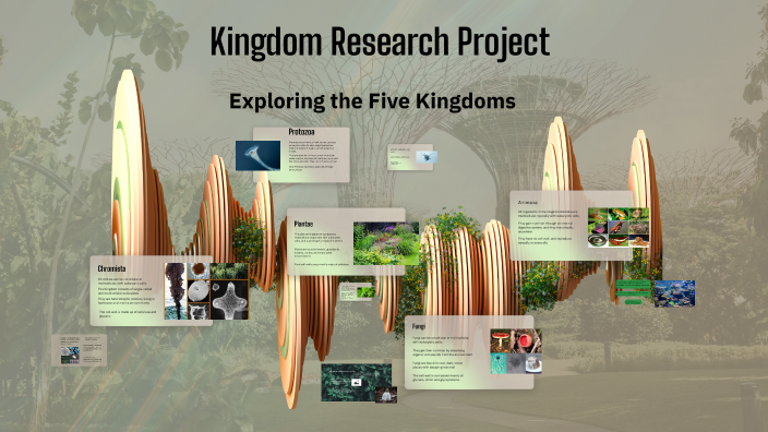 Kingdom Research Project by Trevor Hayes on Prezi