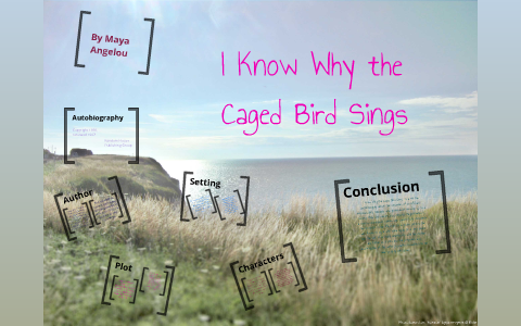 Maya Angelou by Victoria Schutte on Prezi