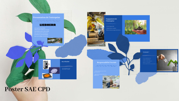 Affiche SAE CPD by Romain Rizzo on Prezi