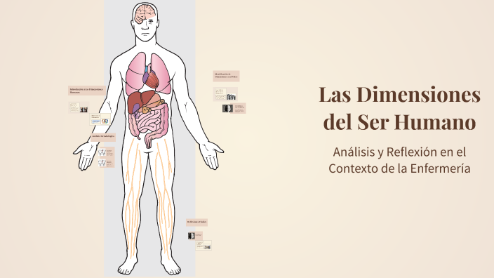 Las Dimensiones del Ser Humano by cristopher velasco on Prezi