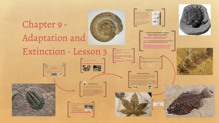 Chapter 9 -Adaptation ad Extinction - Lesson 3 by Joan Smith on Prezi