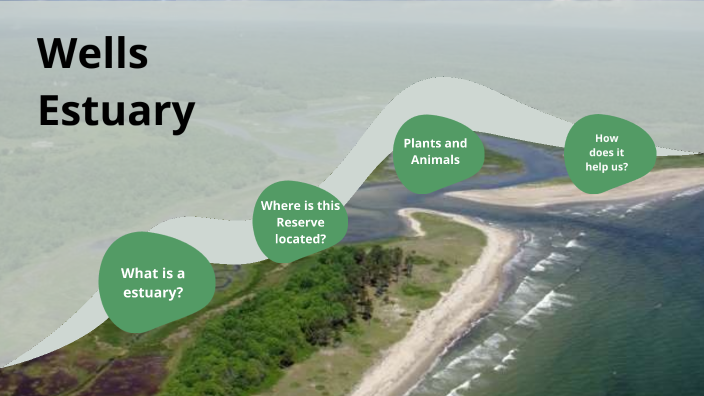 Estuary project by JOSE BERMUDEZ GARCIA on Prezi