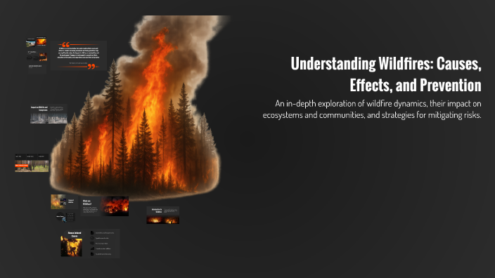 Understanding Wildfires: Causes, Effects, and Prevention by sheiry ...