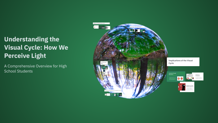 Understanding the Visual Cycle: How We Perceive Light by Alex Mason on ...