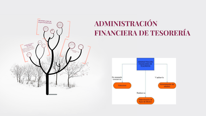 ADMINISTRACIÓN FINANCIERA DE TESORERÍA by Estefania Arredondo on Prezi