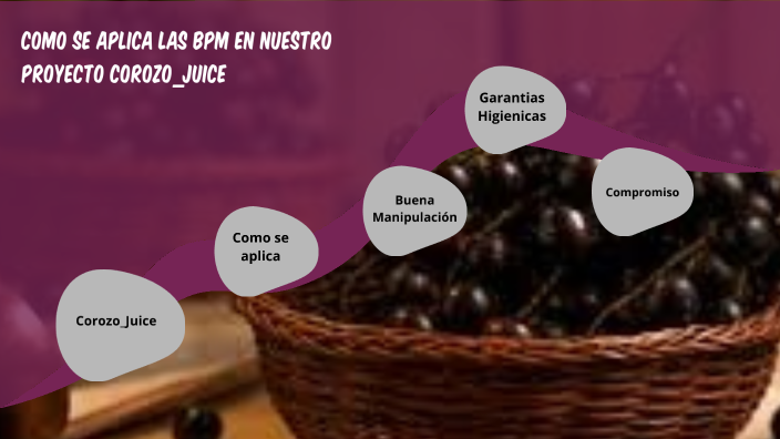 Corozo Juice Aplicacion BPM by MANUEL JOSE TAPIAS MORA on Prezi