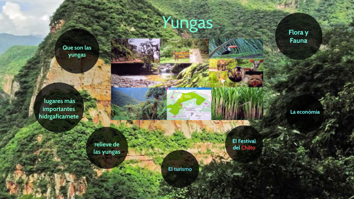 Geografia Final-Yungas by Facundo Roselli on Prezi