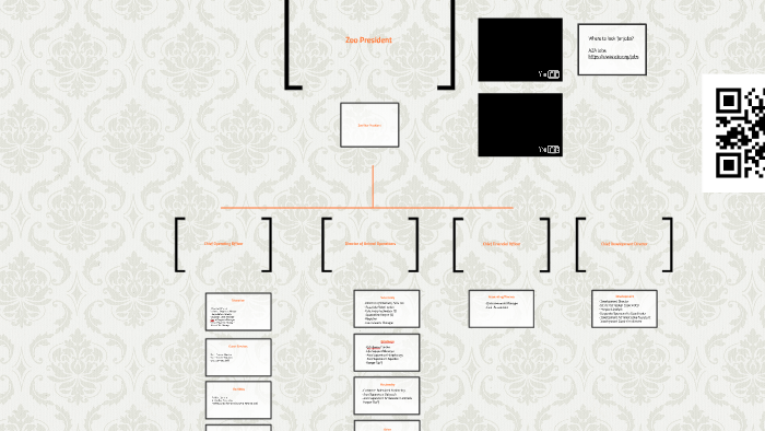 Zoo Organizational Structure by Chris Radek on Prezi