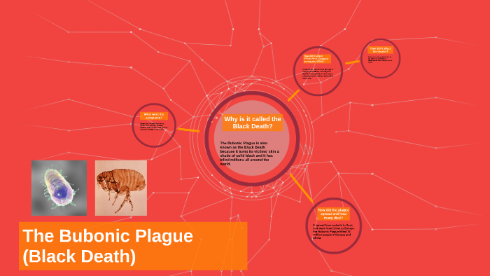 The Bubonic Plague (Black Death) by Will Carter on Prezi