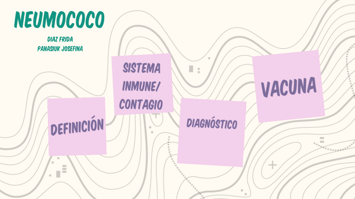 NEUMOCOCO by Frida Diaz on Prezi