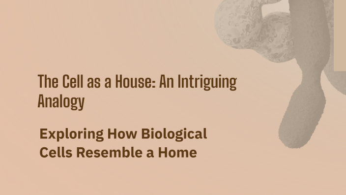 The Cell as a House: An Intriguing Analogy by shawn battle on Prezi