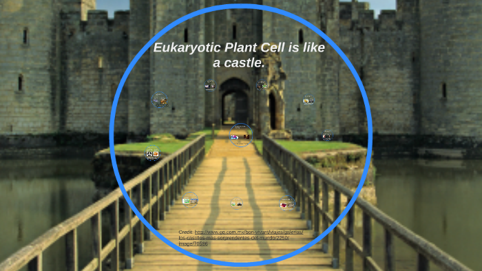 Eukaryotic Plant Cell is like a castle. by john carlton on Prezi