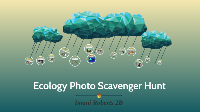 Ecology Photo Scavenger Hunt by Imani Roberts on Prezi