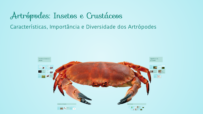 Artrópodes: Insetos e Crustáceos by nathanzin on Prezi