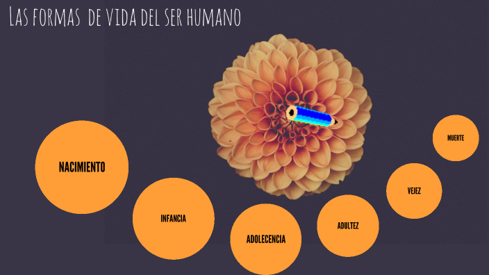 Las formas de vida del ser humano by Isabella Sanchez Criollo on Prezi