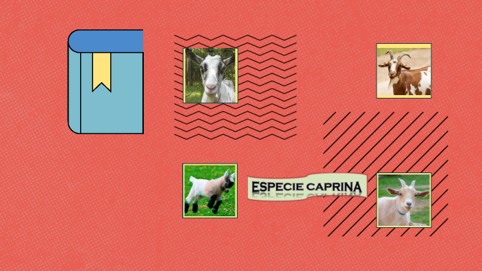 CICLO ESTRAL EN ESPECIE CAPRINA by karhiana peñaloza on Prezi