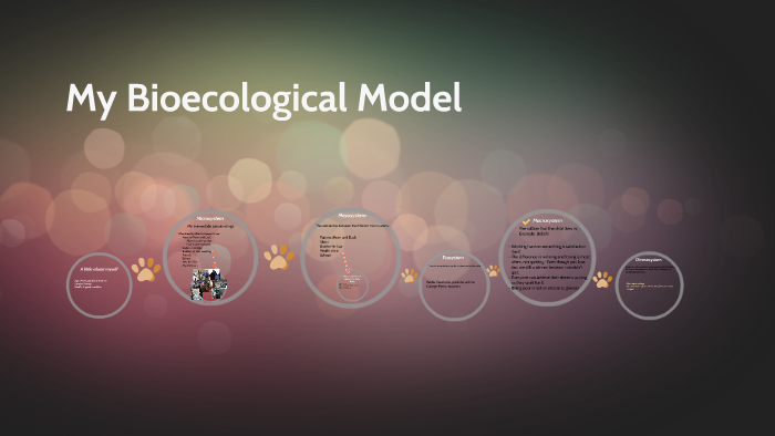 My Bioecological Model by Breana Kane on Prezi