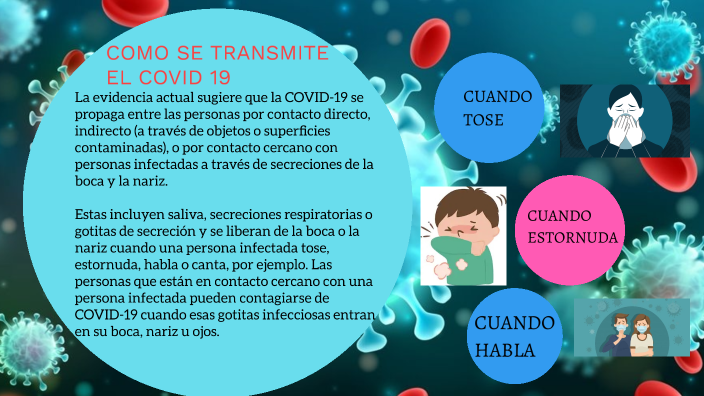 El coronavirus by Anahí Angeline Márquez on Prezi