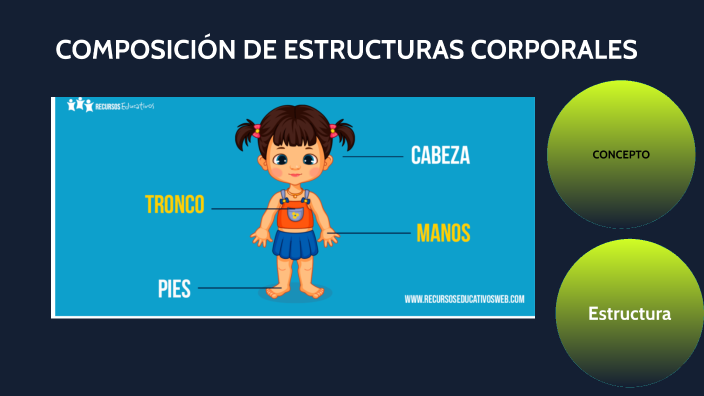 COMPOSICIÓN DE ESTRUCTURA CORPORAL by Miss Sandra P. Aboites Santibañez ...